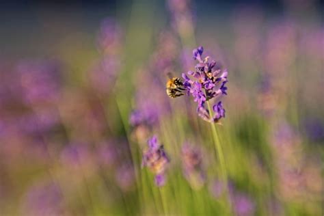Prepare For Landing Preparation Plants Garden