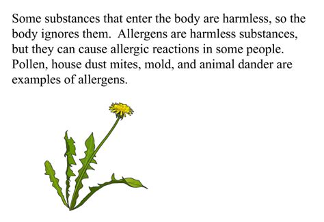 Dust Mite Allergy