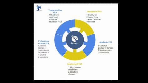 Eca Report Complete Guide Latest Experts Insights 2025