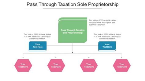Pass Through Taxation Sole Proprietorship Powerpoint Presentation And Slides Ppt Slide Slideteam