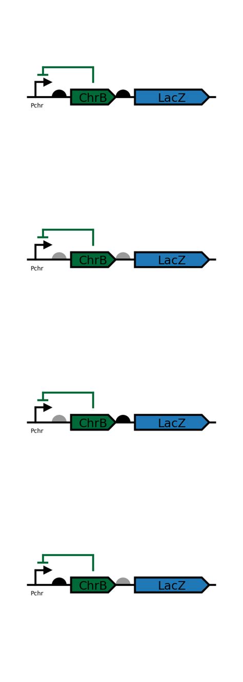 Adjusting Figure Parameters Issue VoigtLab Dnaplotlib GitHub
