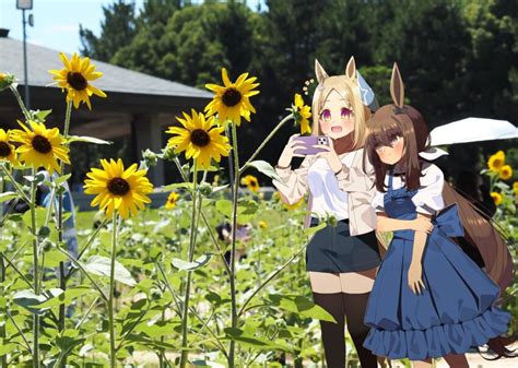 Amane Hikari Admire Vega Umamusume Narita Top Road Umamusume Umamusume Highres Girls
