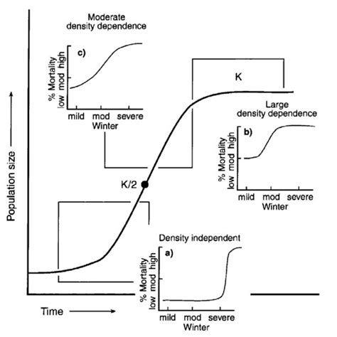 A Conceptual Model Depicting Relationships Between Population Density