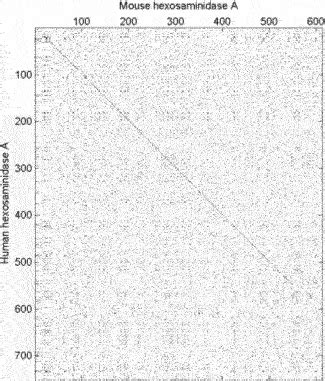 DNA Sequence Alignment And DNA Sequence Assembly Alignment Sequencing Tools For Trace Alignment