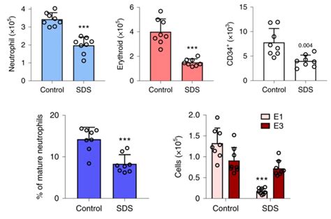 Emulate Bone Marrow Chip