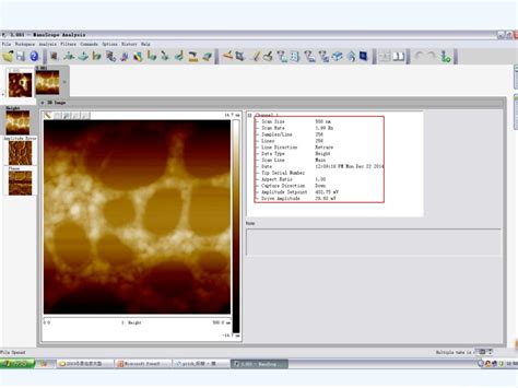 Nanoscopeanalysis软件在afm数据分析中的应用指南 Csdn文库
