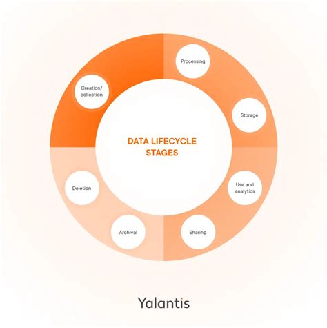 How To Ensure Successful Data Lifecycle Management And BI