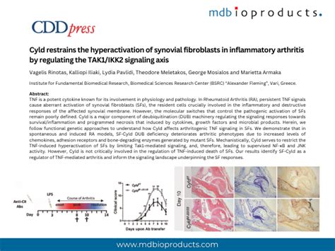 Featured Publication In Focus Cyld Restrains The Hyperactivation Of S