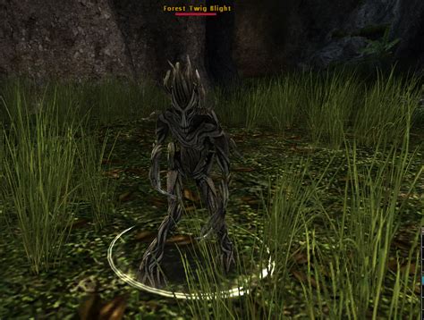 Forest Twig Blight DDO Compendium