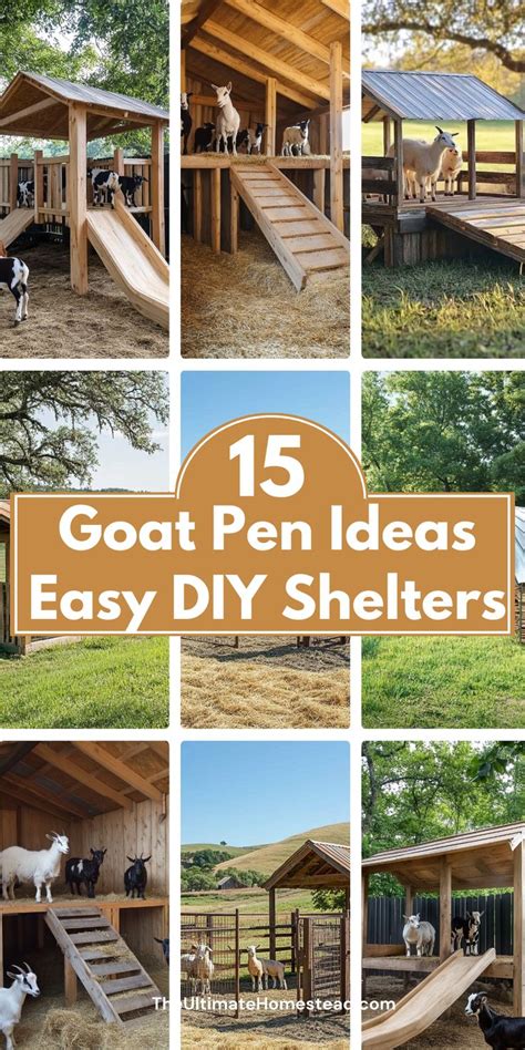 15 Goat Pen Ideas Goat Pen Diy Shelters In 2025 Goat House Goat
