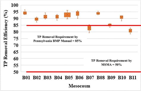 Boxplot Of Tp Removal Efficiency Download Scientific Diagram