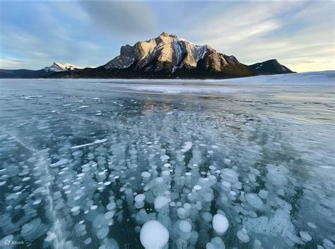 Abraham Lake Ice Bubbles And Peyto Lake Icefield Day Tour Klook India