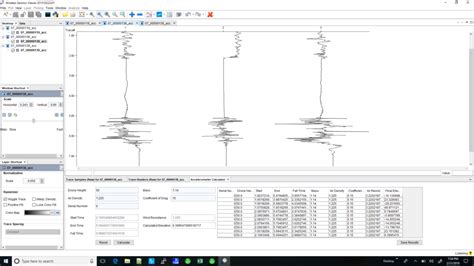 Wireless Seismic Int