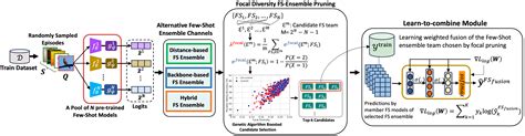 Robust Few Shot Ensemble Learning With Focal Diversity Based Pruning