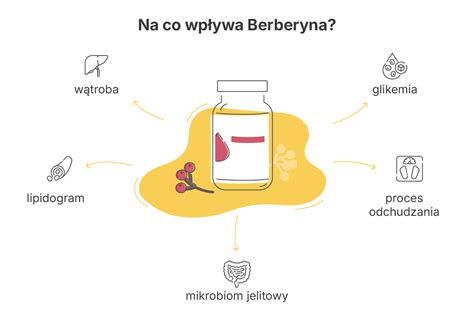 Berberyna Hcl Czy Siarczan