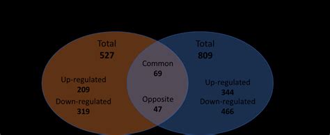 Differences In Gene Expression In The Two Transcriptomics Experiments