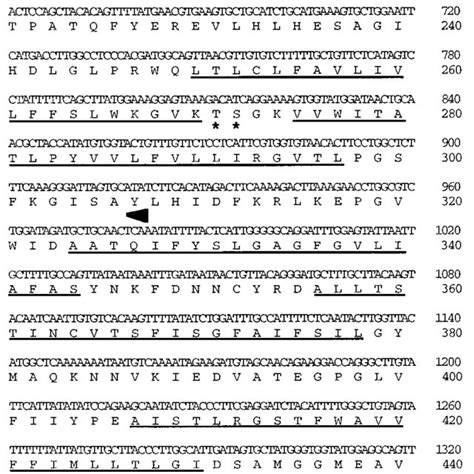 Nucleotide And Deduced Amino Acid Sequence Single Letter Code Of The