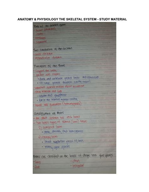 SOLUTION The Skeletal System Study Guide Studypool