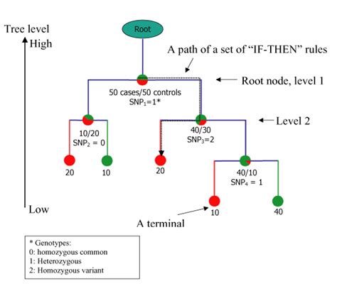 Overview Of A Decision Tree A Binary Tree Starts From The Root Node Download Scientific