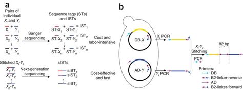 Stitch Seq Interactome Mapping A Outline Of Interactome Mapping