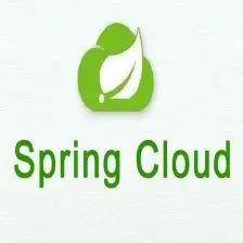Spring Cloud Gateway集成Nacos实现负载均衡_nacos gateway 负载均衡-CSDN博客
