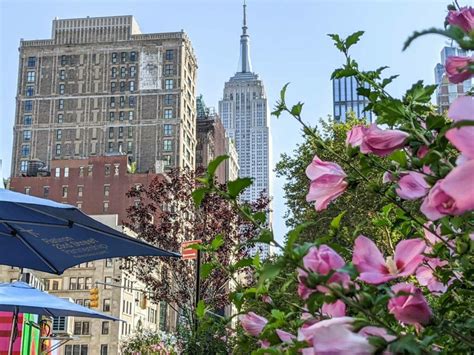 Calendario De Nueva York Celebraciones Y Tiempo Mes A Mes