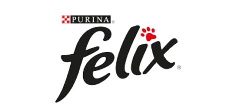 ¿qué Es El Catnip Y Cuáles Son Sus Efectos Mascotas365