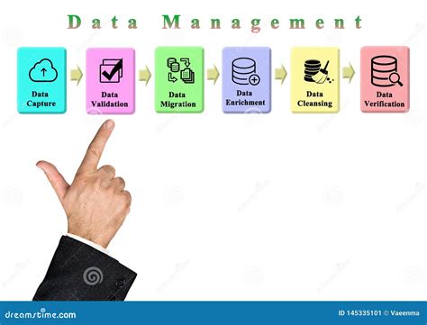 Process Of Data Management Stock Illustration Illustration Of Process 145335101