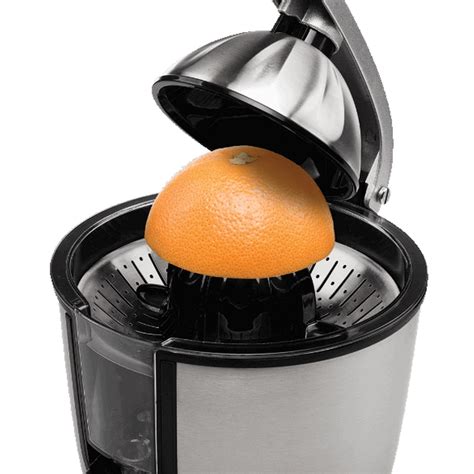 Princess Champion Juicer Exprimidor 160w