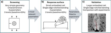 Phase Field Simulation Of Crack Growth In Cortical Bone Microstructure