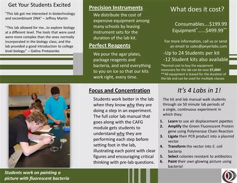 Peyer Labs Cloning A Fluorescent Gene Brochure Pdf
