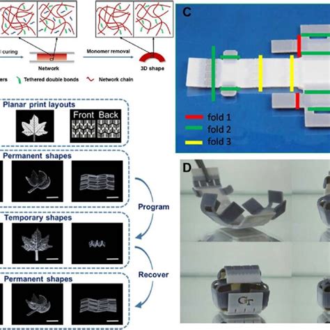 Fabrication Of Digital Shape Memory Polyurethanes A Schematic Download Scientific Diagram