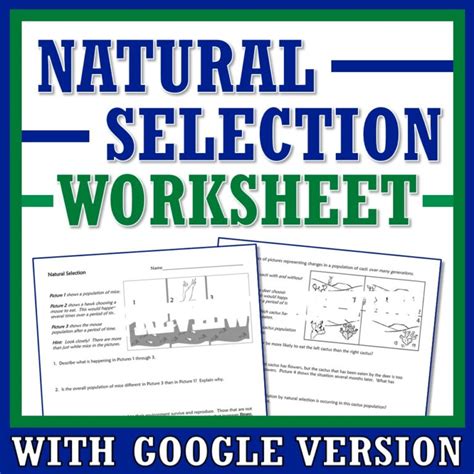 Natural Selection Worksheet Flying Colors Science