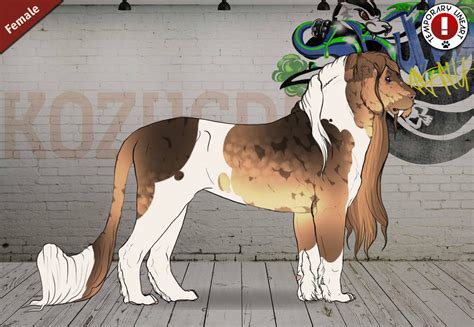 Ryukin 41417 By Shedumaster On Deviantart