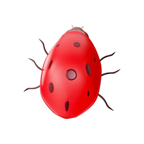3d Rendering Of Ladybug Element 23741538 Png