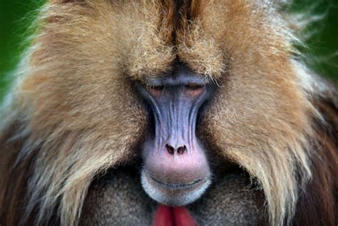 Understanding Diffused Light Seriously Photography