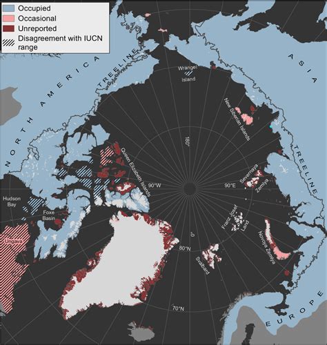 Wolverine Gulo Gulo Distribution In The Arctic For Islands Download Scientific Diagram