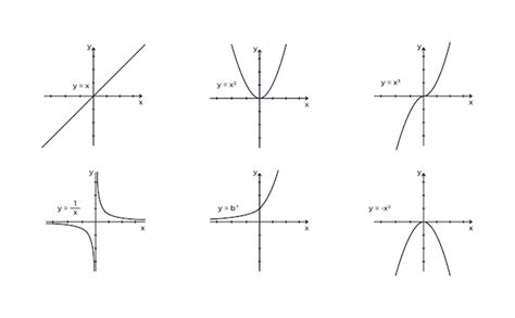 premium vector illustration of different types of curves on a