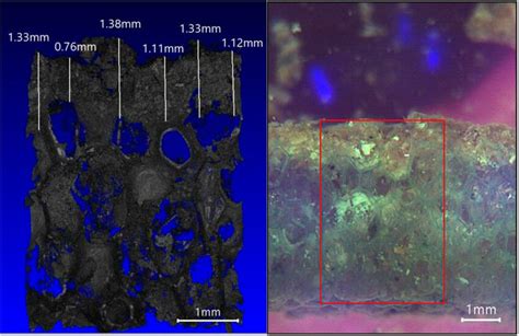 Oct 3d Image For The R 4 Mm On The Left Oct Image On Right Image Of Download Scientific
