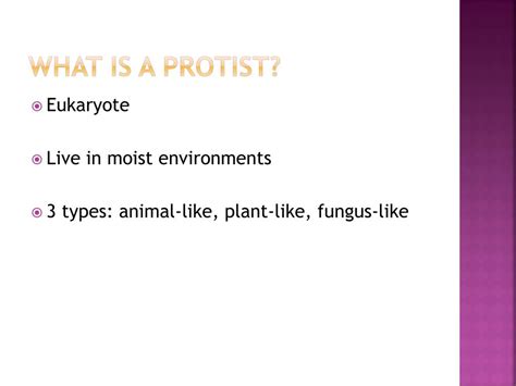 Ppt Kingdom Protist Notes Powerpoint Presentation Free Download Id