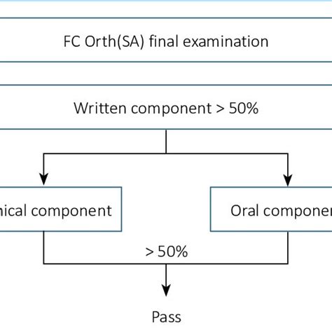 Flow Chart Illustrating The Sequence Of Events In The Examination
