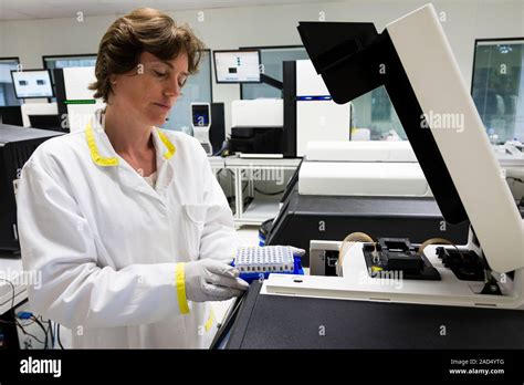 Automated Dna Amplification A Technician Prepares Samples To Be Placed