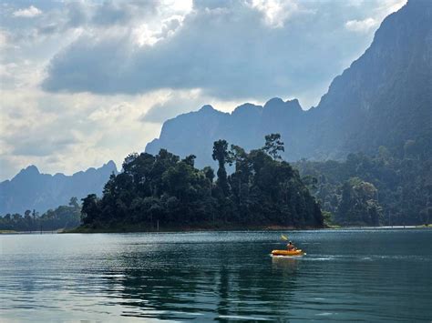 Cheow Lan Morning Safari Unforgettable Khao Sok Experience