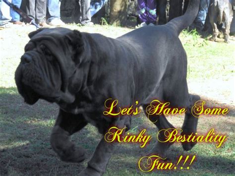 Dog Knot Is So Fucking Hot And Kinky Lets Have Some Bestiality Fun