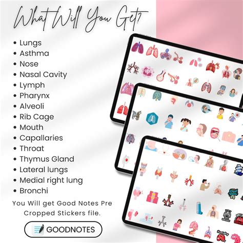 285 Respiratory System Sticker Bundle Goodnotes Stickers Pre
