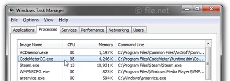 Codemetercc Exe Windows Process What Is It