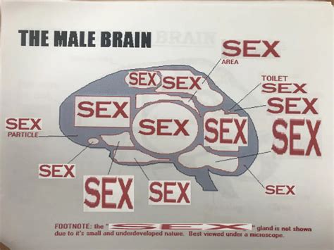 SEX Real R Okbuddyretard OkBuddyRetard Know Your Meme