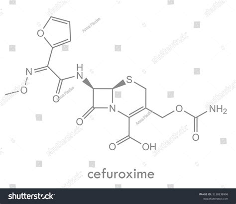 Cefuroxime Structure Beta Lactam Cephalosporin Antibiotic Stock Vector