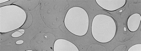 Holey Carbon Support Films For Tem