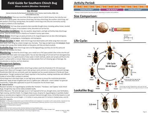 Turfgrass Entomology Integrated Pest Management